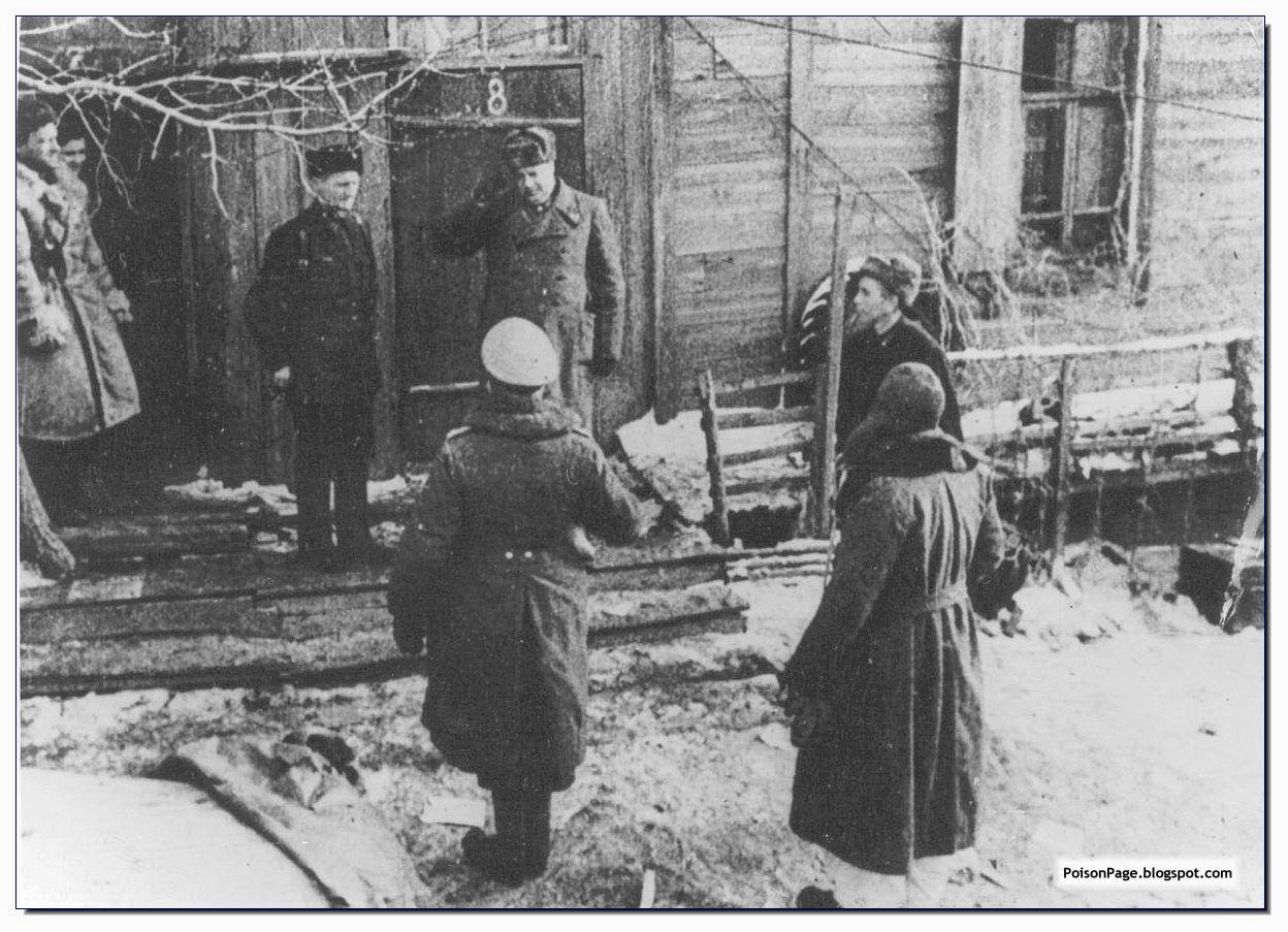 PICTURES FROM WAR AND HISTORY: German Soldiers: Unseen Large Images ...