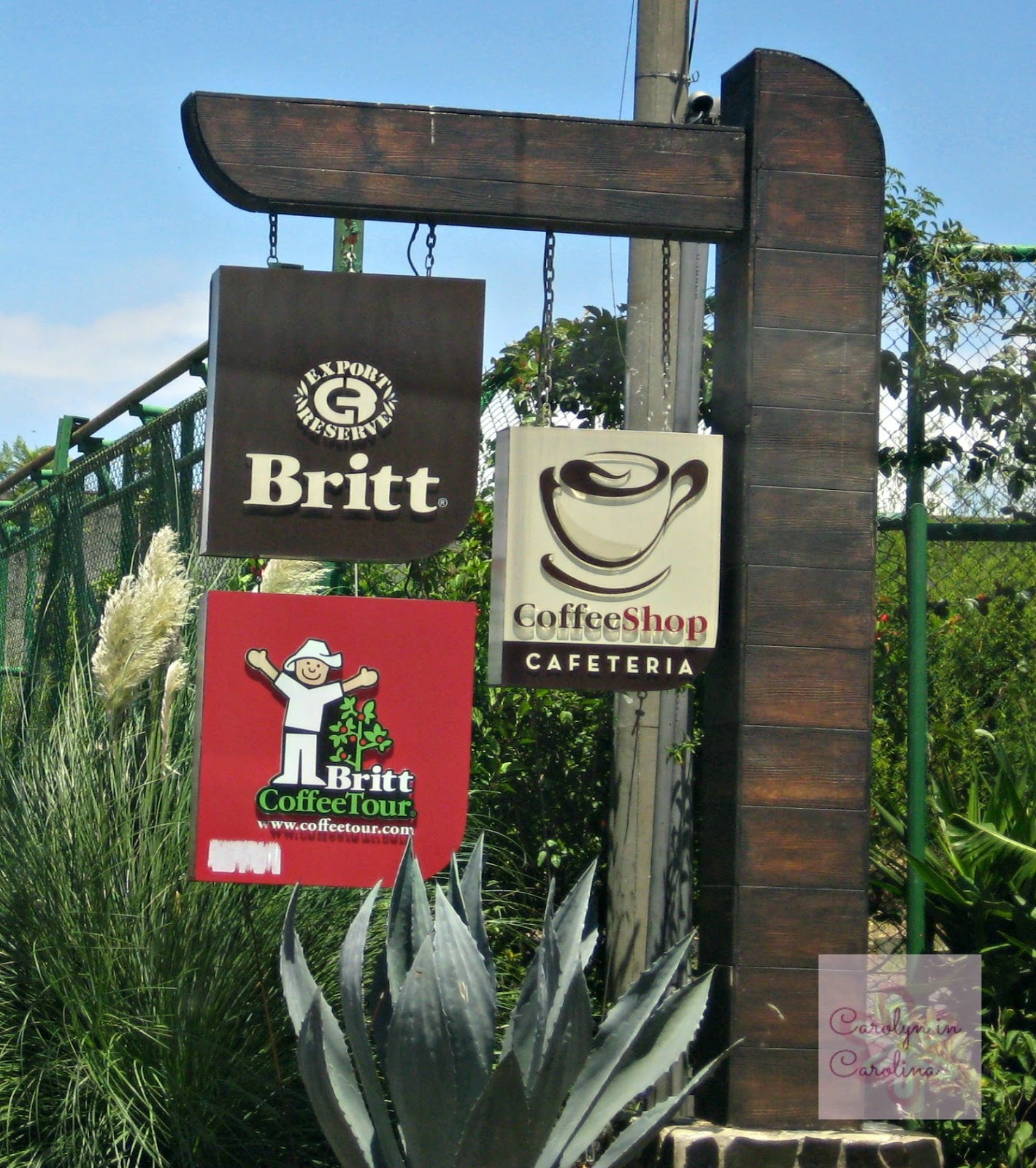 Carolyn in Carolina: Cafe Britt Tour ~ Heredia, Costa Rica