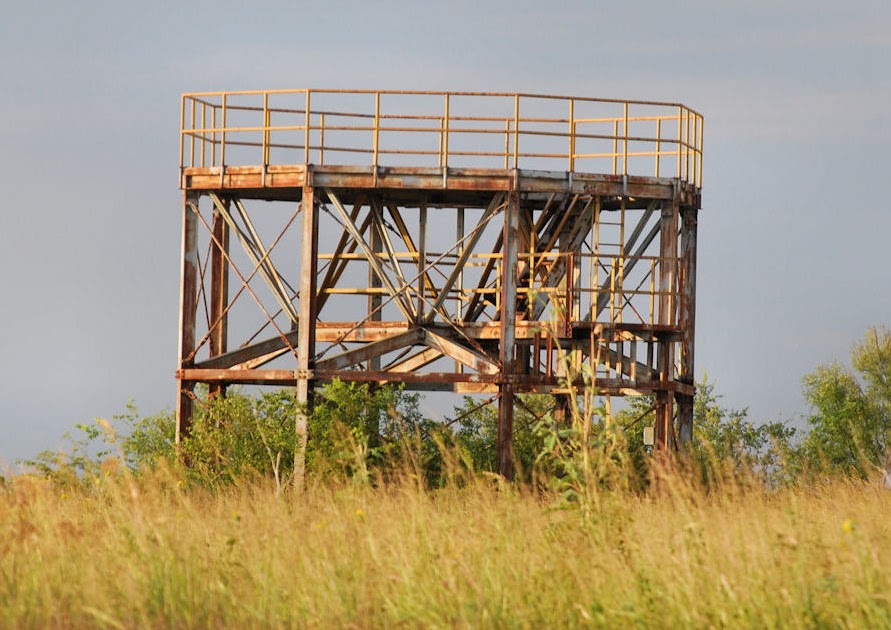 Terrell Daily Photo: Nike Radar Platform