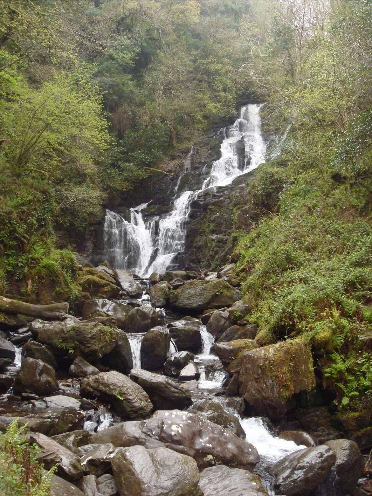 Take Memories and Leave Footprints: Ring of Kerry and Killarney, Ireland