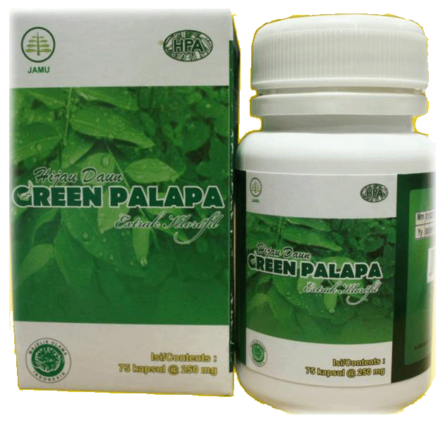 Klorofil Green Palapa | hpaibnusina