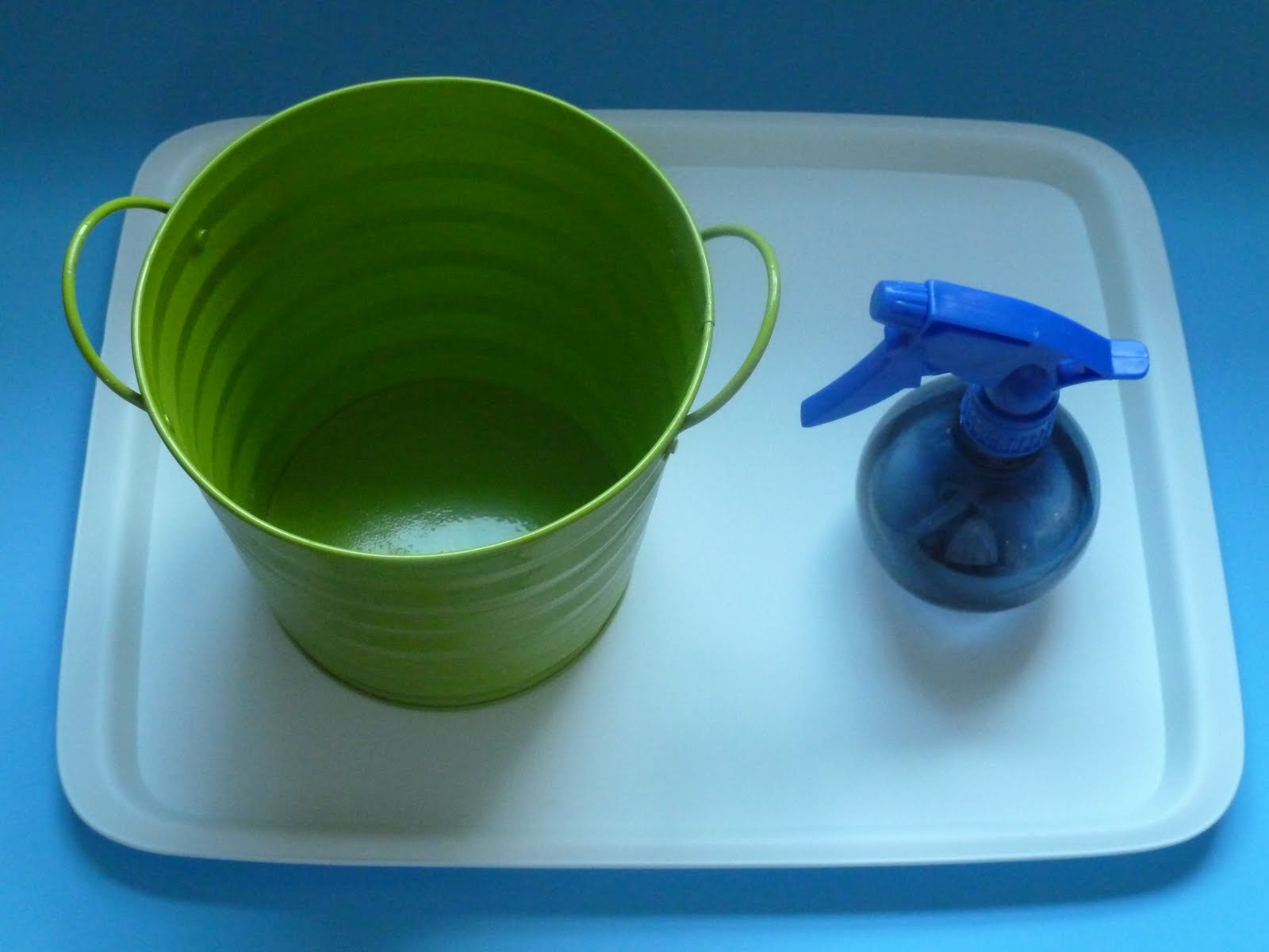 Family FECS: Montessori Activity: Using Spray-Bottle