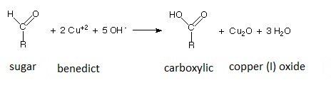 Benedict’s Test for Monosaccharides and Reducing Sugars - edubio.info