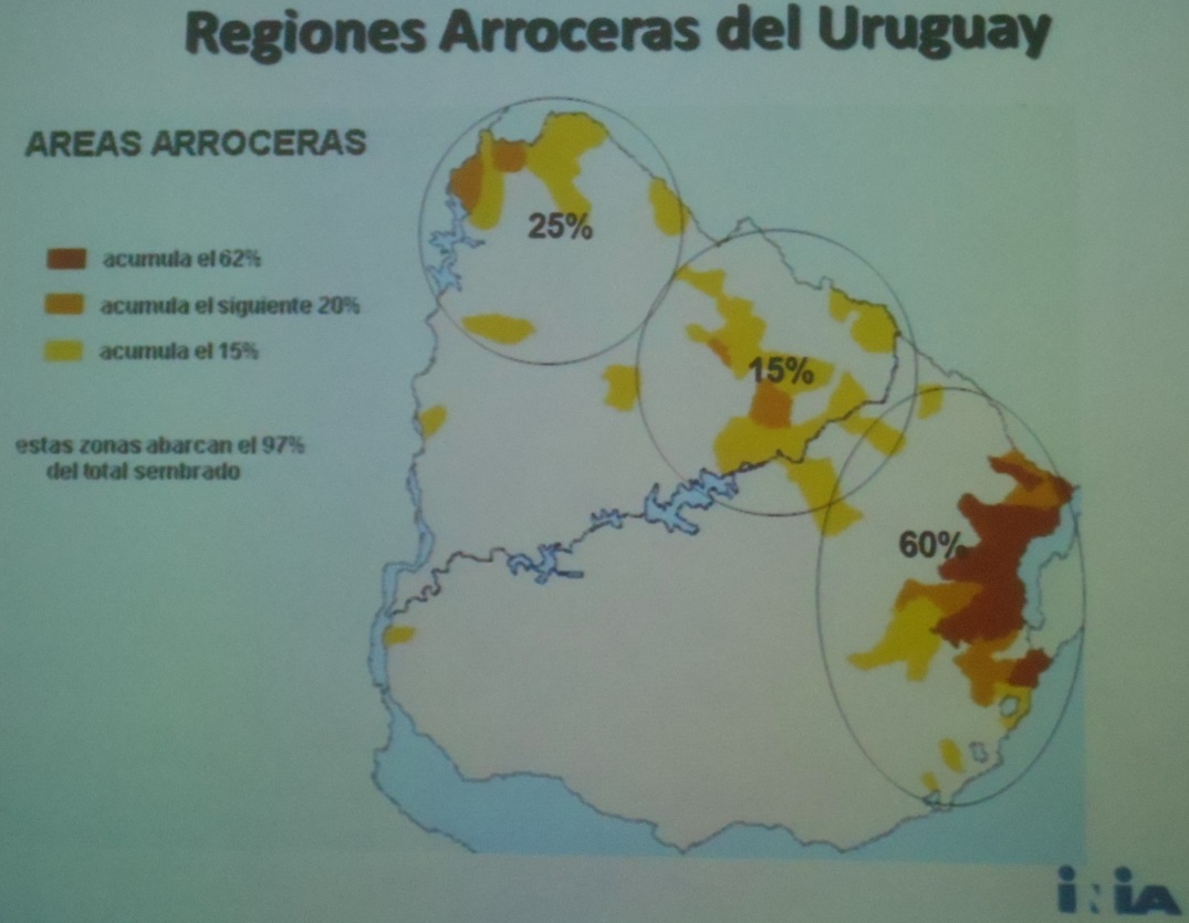 GEOGRAFÍA PARA TODOS: INDUSTRIA ARROCERA EN EL URUGUAY