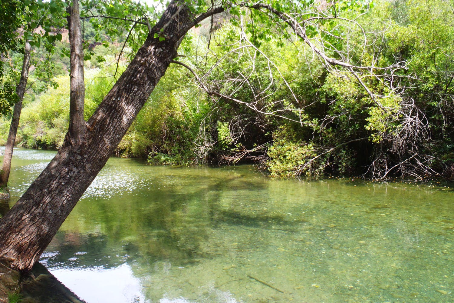 Tesoros de luz: Ríos limpios, ríos de vida