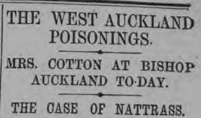 Intertwining Branches: Mary Ann Cotton, she's deed and she's rotten