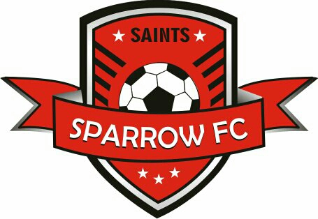 The Football Club called Sparrow Sport FC - Saint | DejiKing Concepts ...