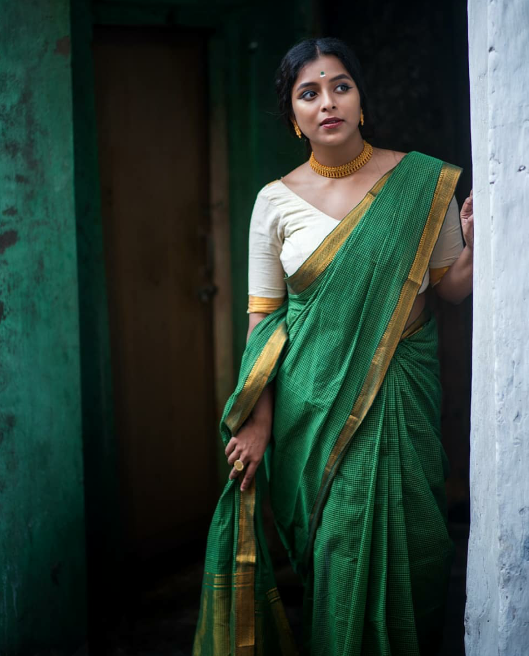 100+ Instagram Saree Model Rosi Das Photos