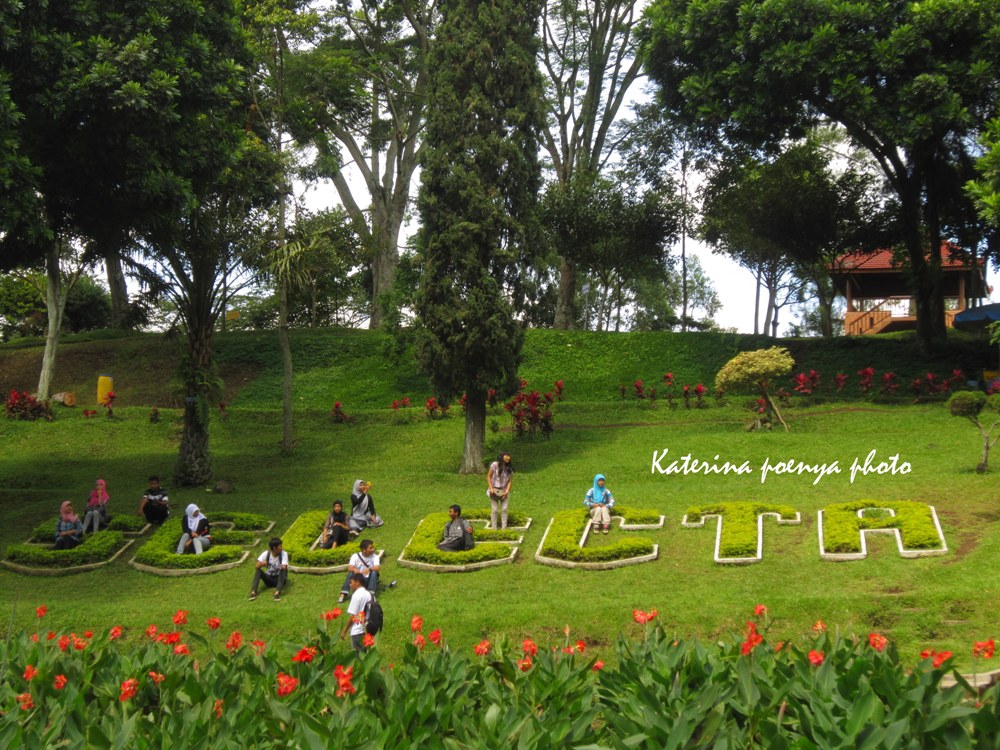 Merengkuh Indah Pagi di Taman Bunga Selecta - TᖇᗩᐯEᒪEᖇIEᑎ