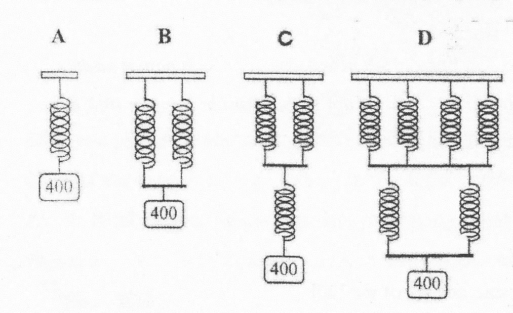 PHYSICS Problems And Solutions / Soalan fizik & penyelesaian: spring