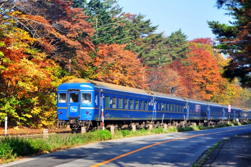 Go Away, Sam...: Japan (Oct2013): Day 6 Onuma-koen, then Hakodate to ...