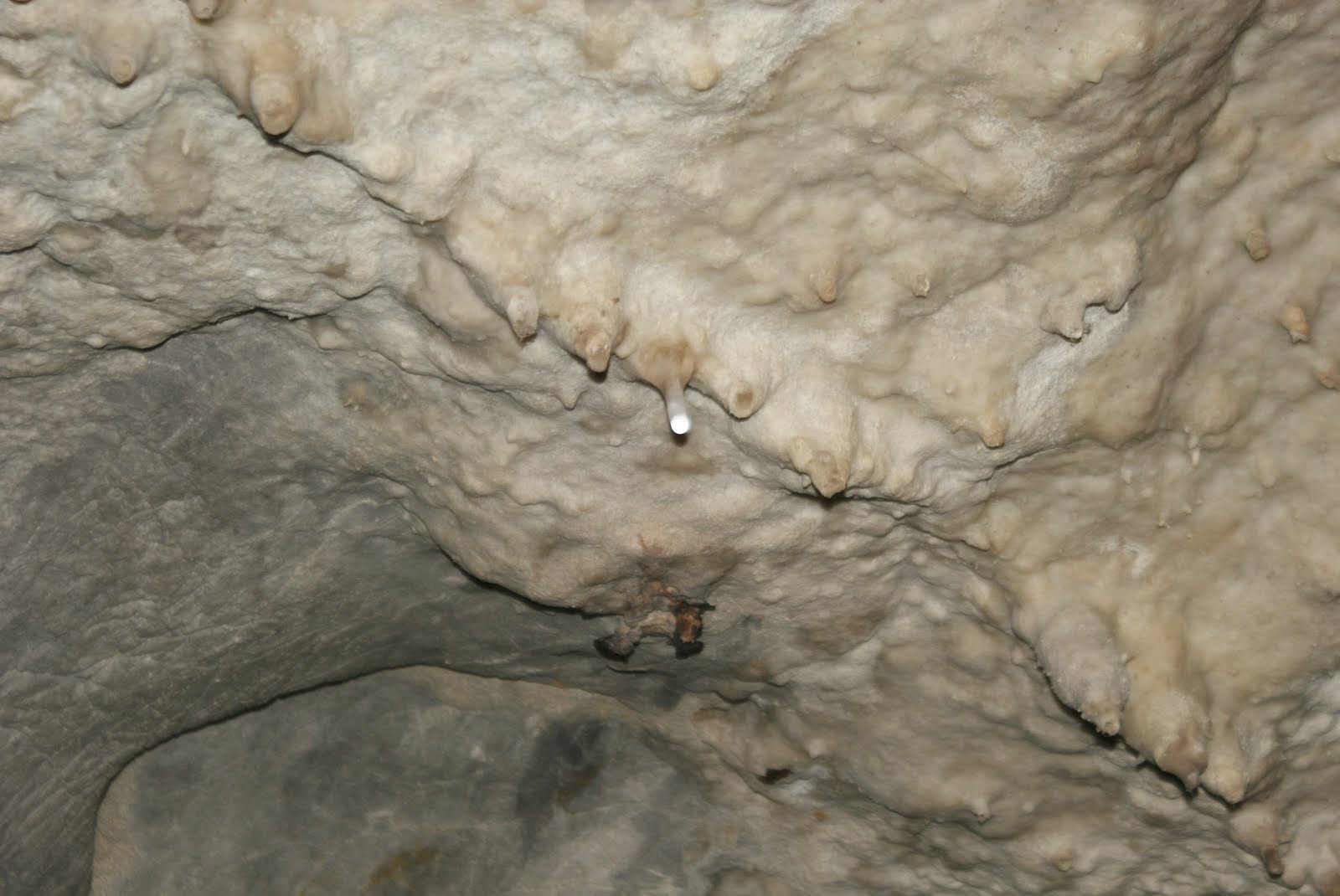 Grondpad Dromers: Goeie Genade, dis 'n Grot! Die Kango Grotte!