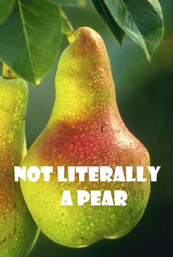 Flat Earth Insanity: Flat Earth Follies: Neil deGrasse Tyson says the ...