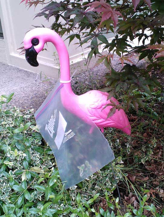 Art e-Journal: "Flocking" - Great Fundraising Idea Using Plastic Lawn ...