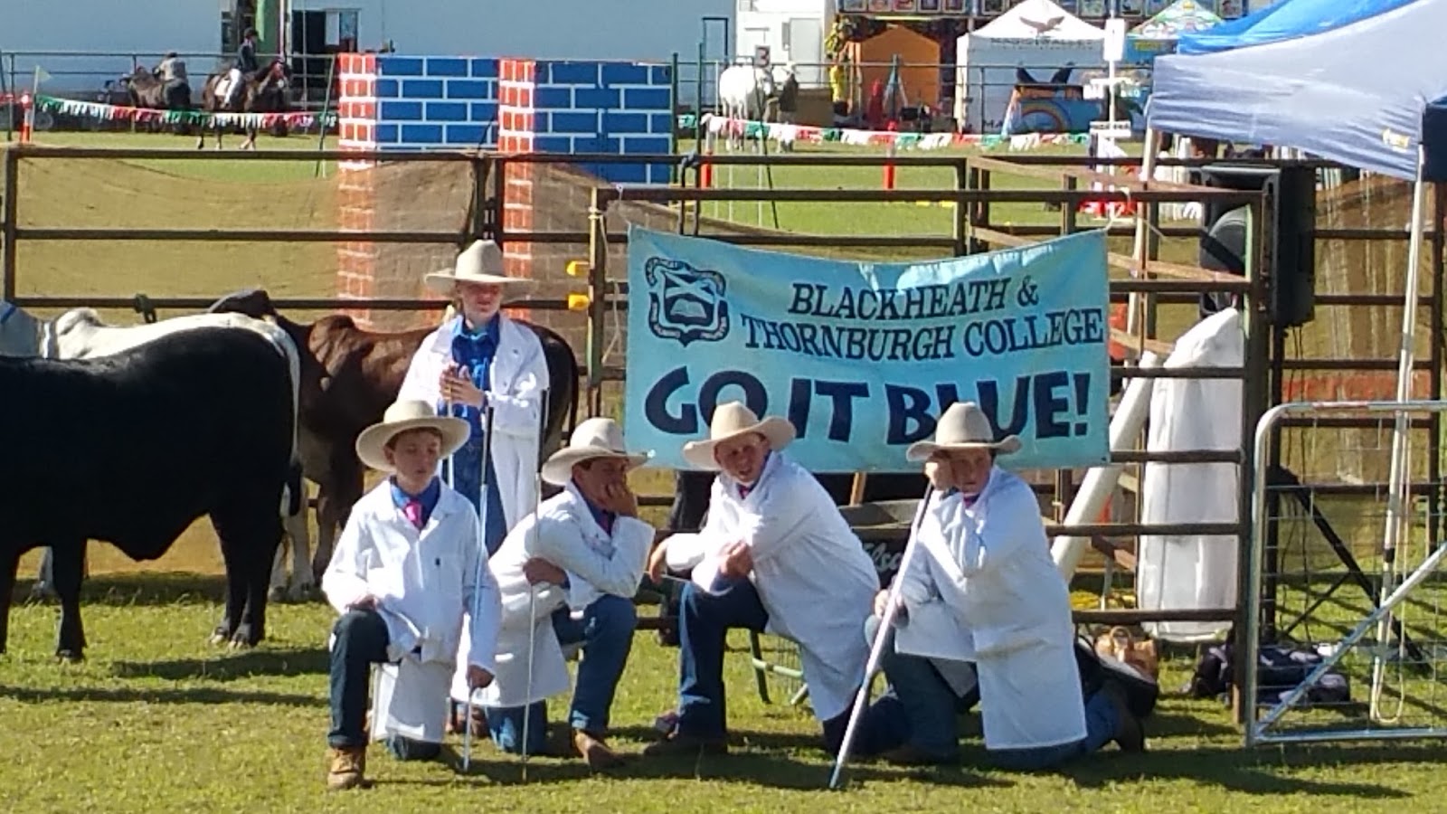 BTC Blog: Cattle Club at the Charters Towers Show