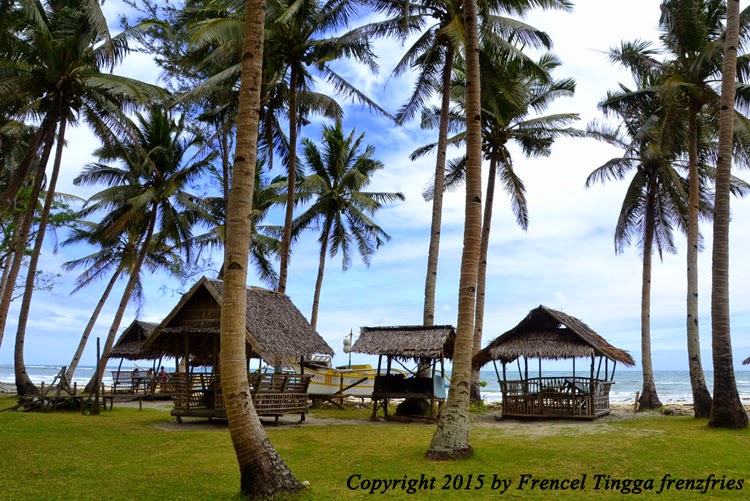 Frenz Fries: Tangalan: Afga Point and Jawili