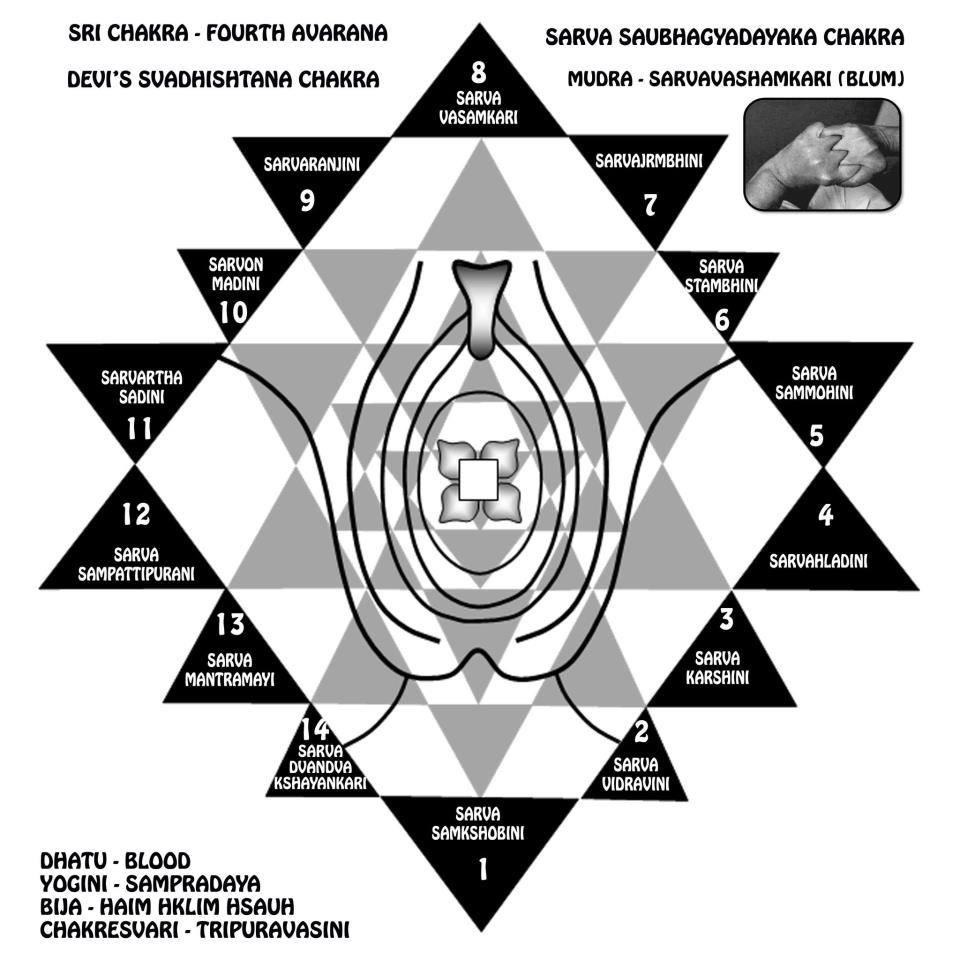 Amritananda Natha Saraswati: Meaning and symbolism of Nava Avarana of ...