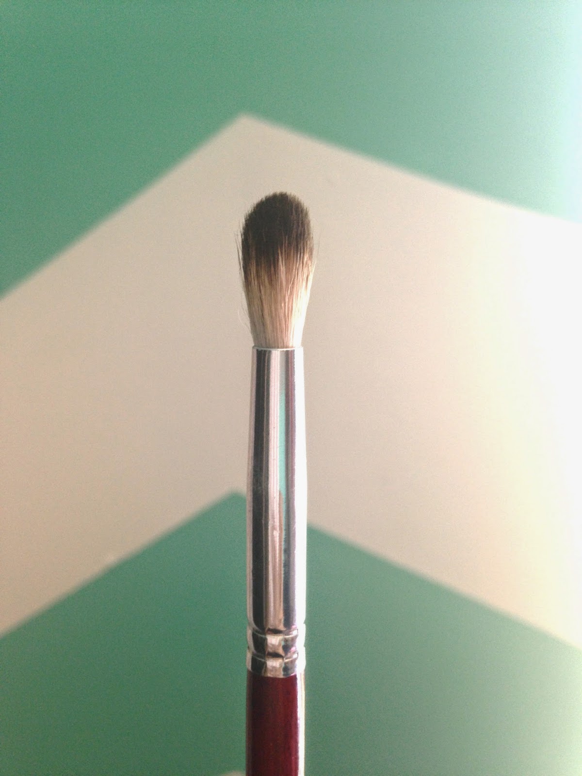 glamourbyliz: Essential Brushes