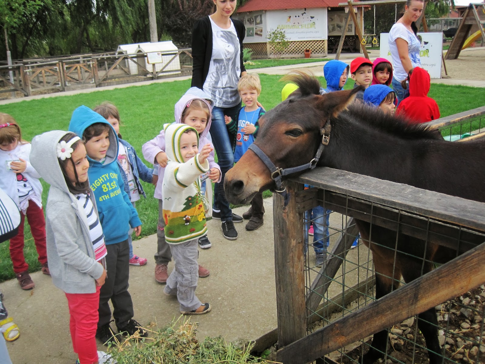 Gradinita Yuki: La ferma animalelor