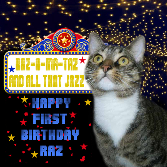 Friends FurEver: It's Raz's first birthday!!!
