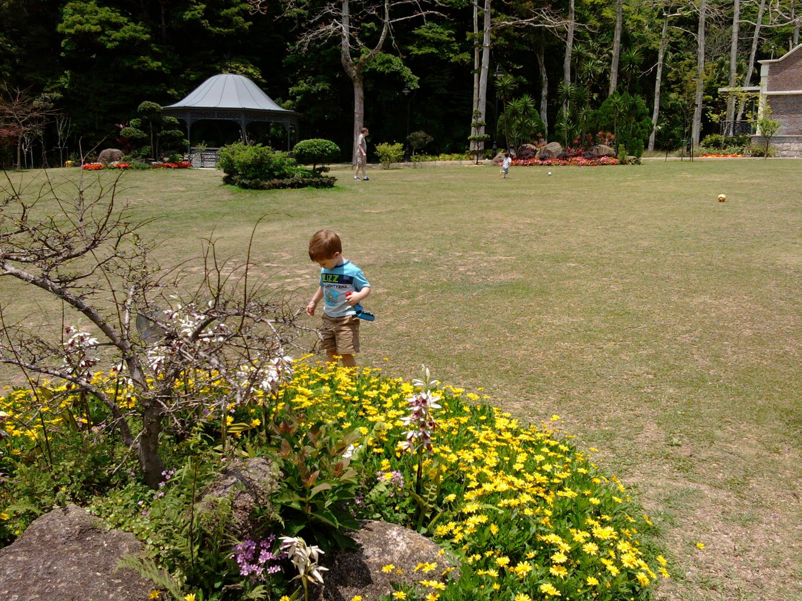 Texpat 365: HKG056: Mount Austin Park