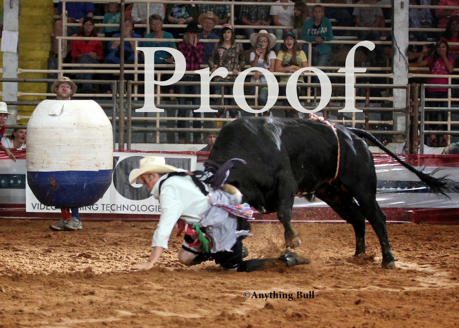 Anything Bull or Rusty: Friday Round 5 - Clint Hopping