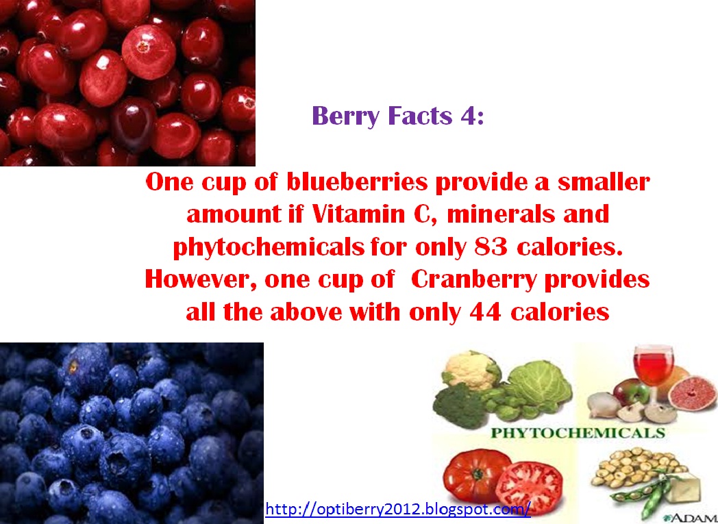 Unleashing The Power of Berries: July 2012