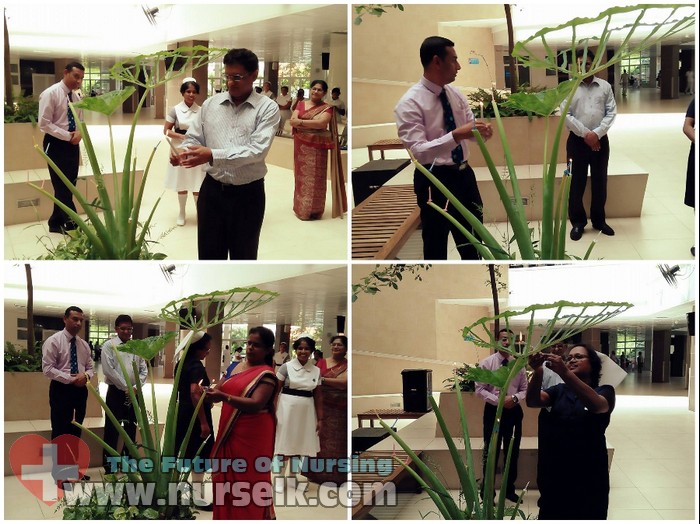 Opening Ceremony of RELAXATION UNIT Apeksha Hospital Maharagama ...