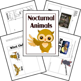 North Wind Homeschool: All about owls.....