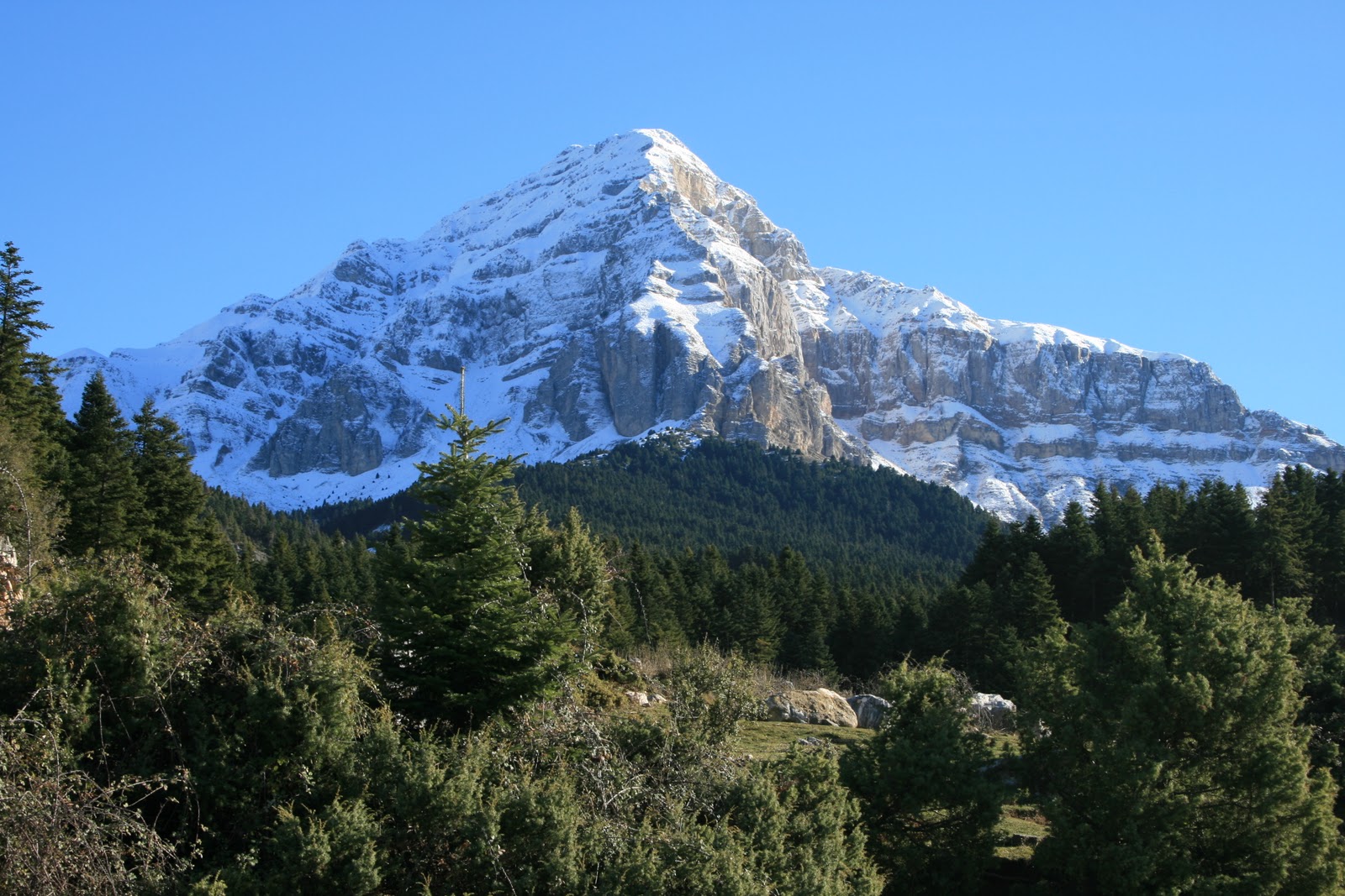parnassos-news: ΤΑ ΨΗΛΟΤΕΡΑ ΒΟΥΝΑ ΤΗΣ ΕΛΛΑΔΑΣ
