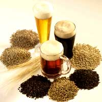 Grandes propiedades y beneficios de la malta