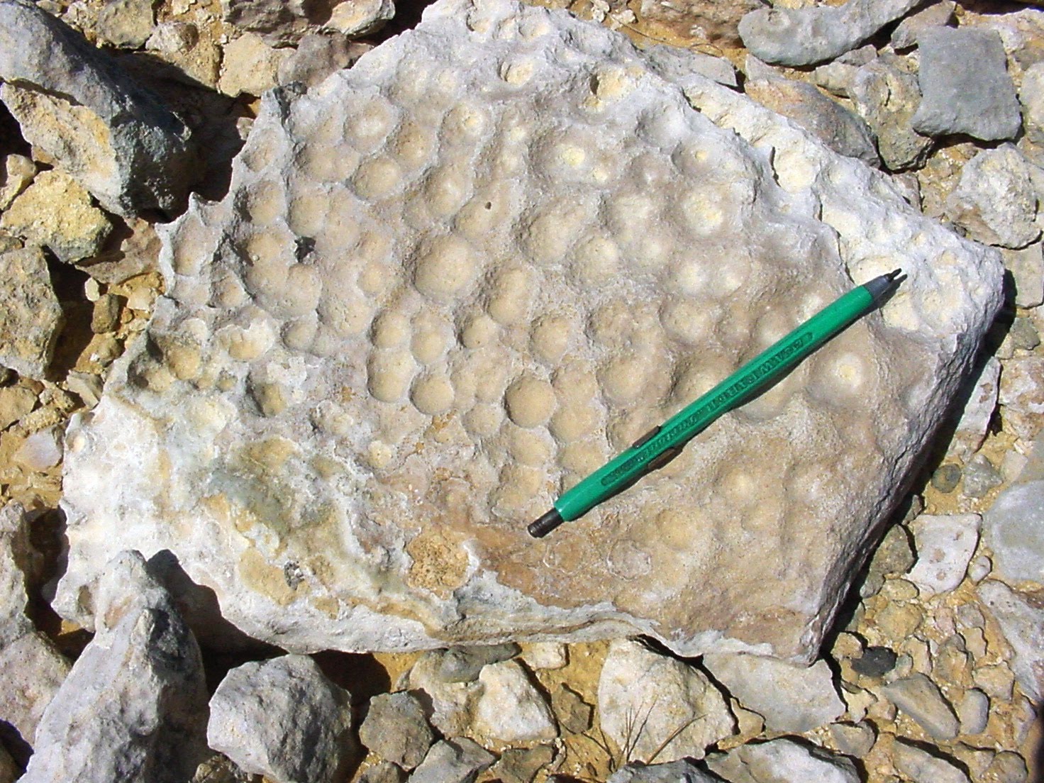 Ciencias de la Tierra y M.Ambientales: Tipos de meteorización