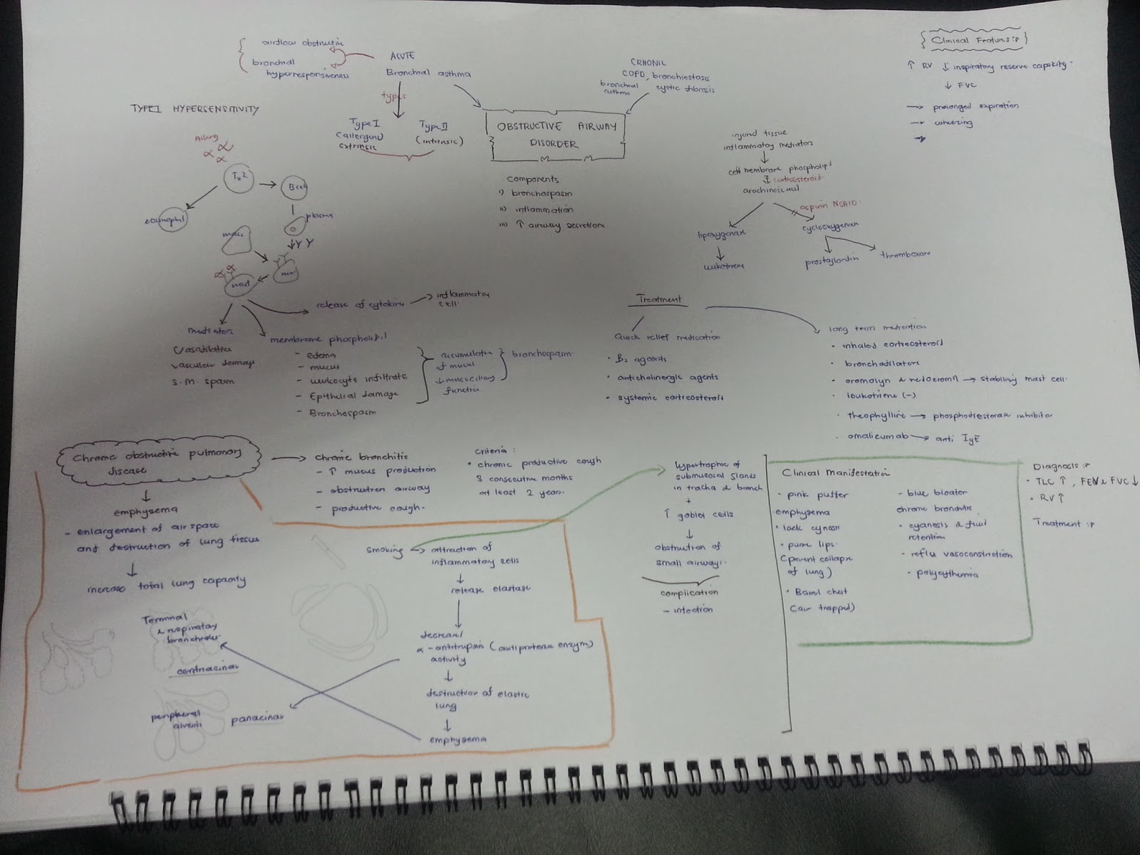 Medical Concept maps : Respiratory System