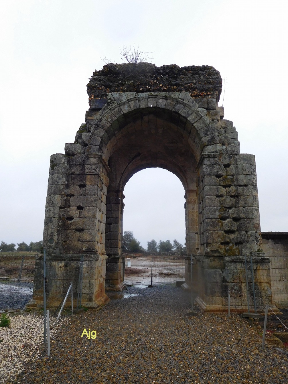 En Busca del Hada Azul: La Ciudad Romana de Caparra