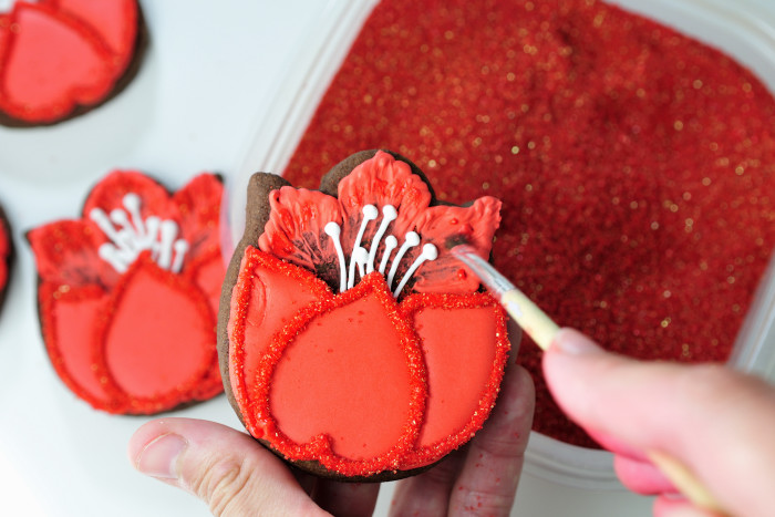 CancunCOOKIES: tulip cookie tutorial by haniela