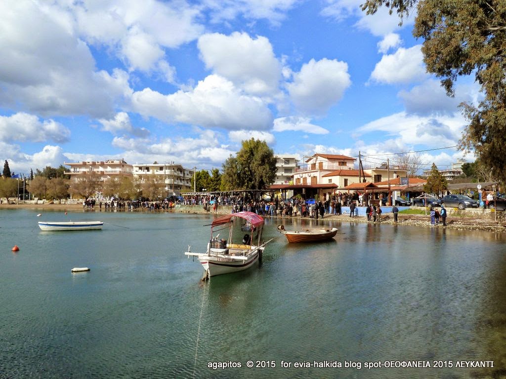 Evia halkida photos by elias thalassis: ΘΕΟΦΑΝΕΙΑ 2015 ΛΕΥΚΑΝΤΙ ΕΥΒΟΙΑΣ