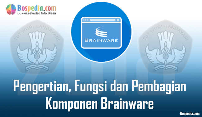 Pengertian, Fungsi Dan Pembagian Komponen Brainware Berdasarkan Para ...