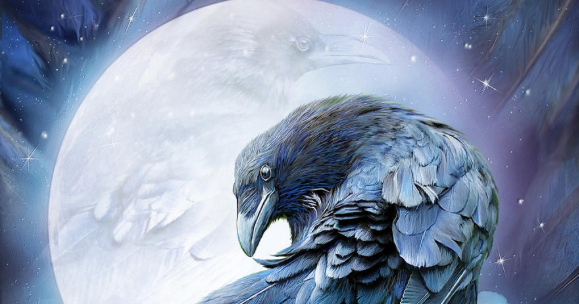 Feel Free to Read: Raven Moon