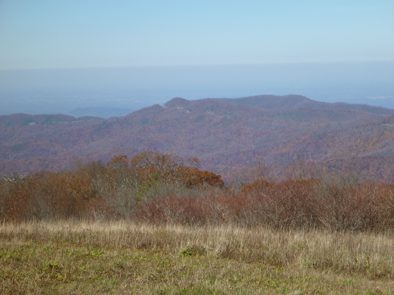 GSMNP - HIKER: Hike Up Mud Gap To Whigg Meadow Grassy Bald