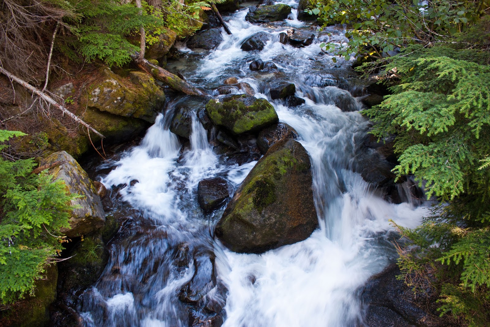 Hiking Shenandoah: Stuart Lake