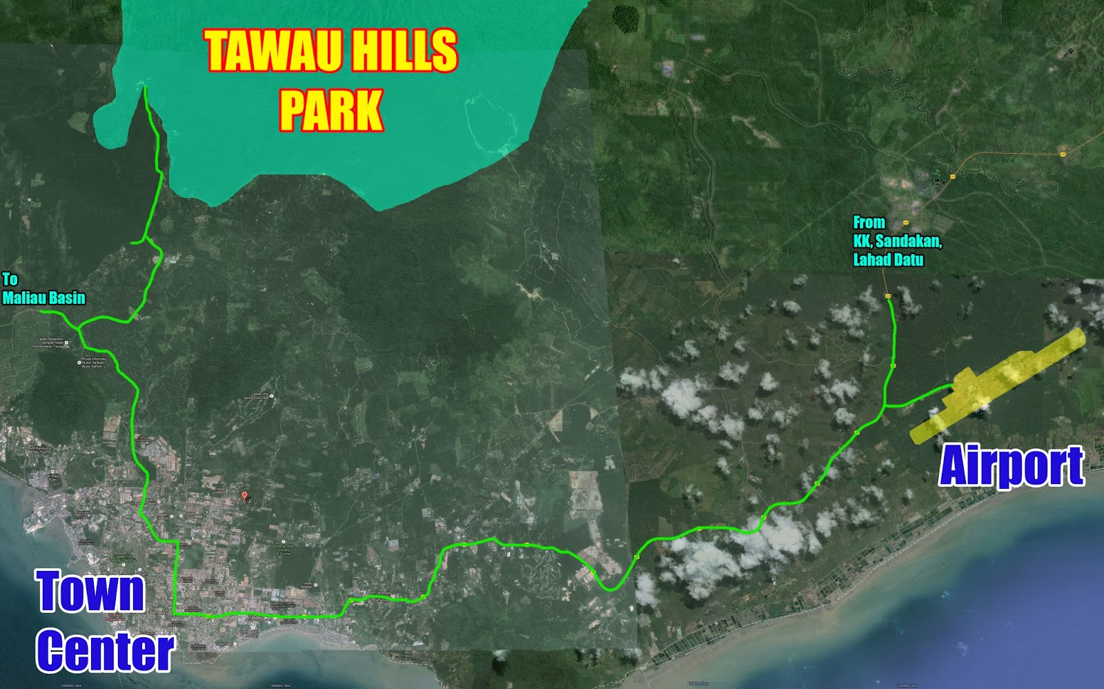 Exploring the Endangered Wonders: Tawau Hills Park 斗湖山國家公園