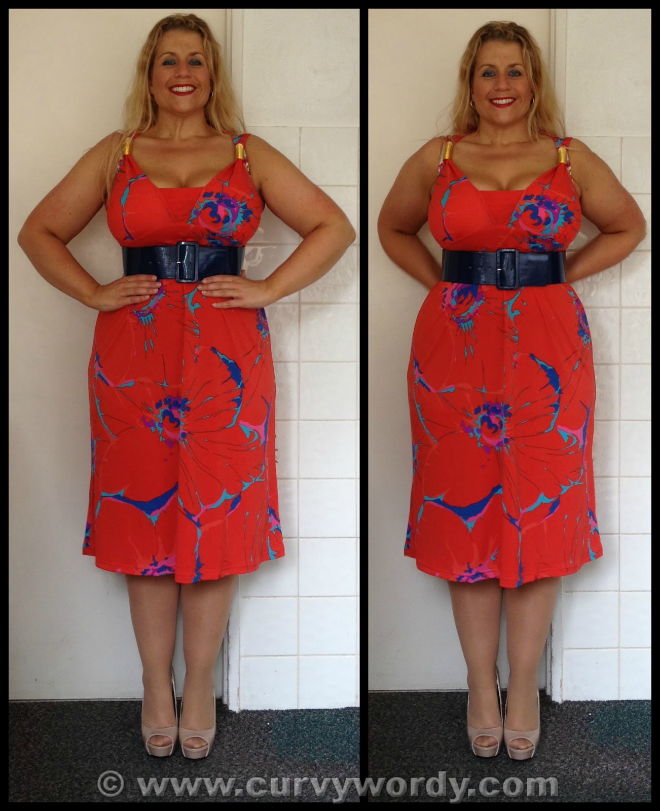 Anna Scholz for Simply Be Print Midi Dress 14 - Curvy Wordy