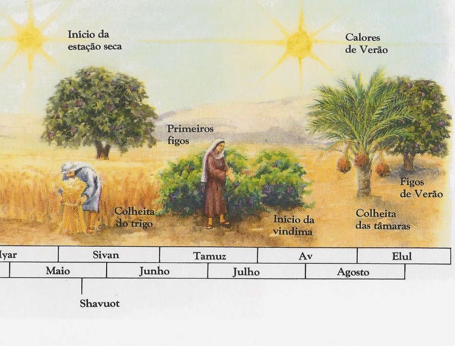 ESBOÇOS DE SERMÕES: AGRICULTURA EM ISRAEL