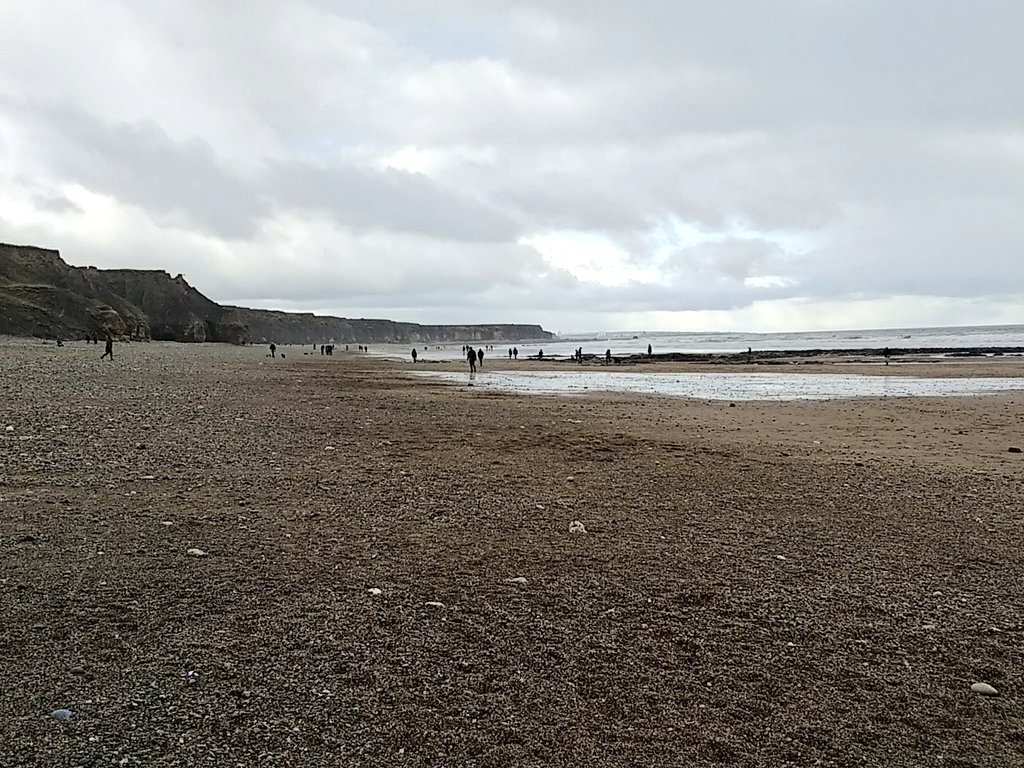 Life's A Beach. The Driftwood Lectures... : SEATON SANDS, HARTLEPOOL ...