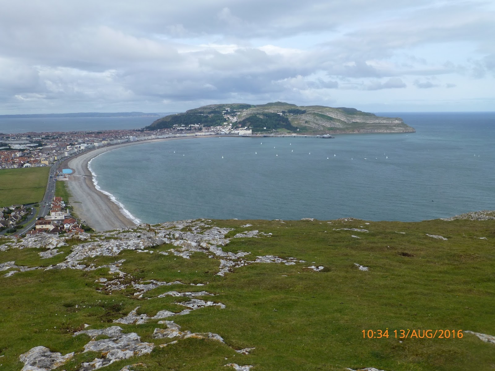 Harris Hikers: The Little Orme and Coed Gaer 13th August 2016