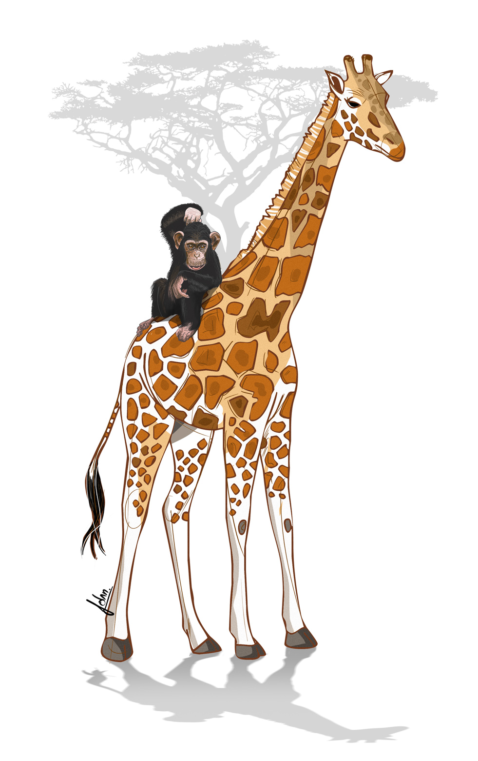 Como dibujar jirafas a lapiz paso a paso - Imagui