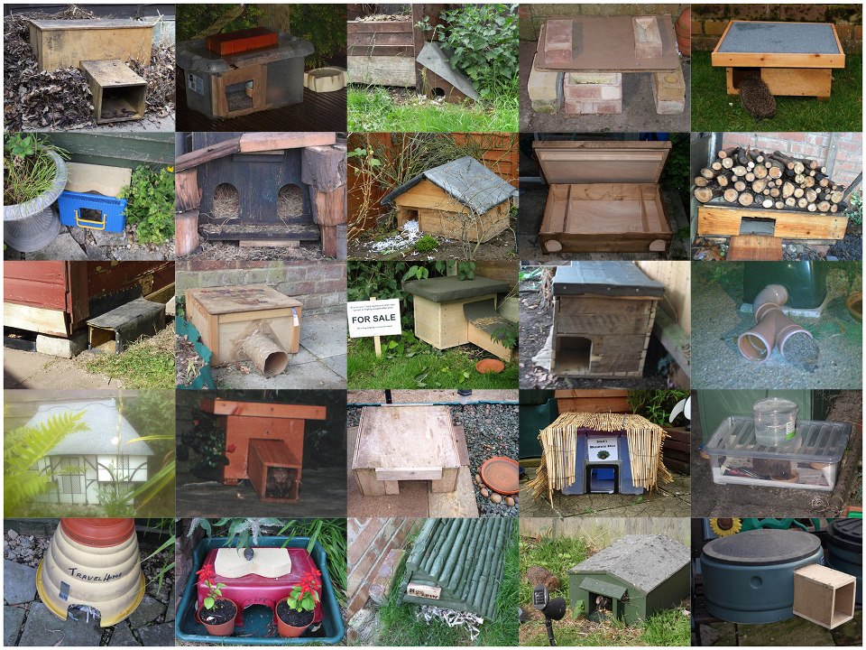 Pen and Paper: HEDGEHOG AWARENESS WEEK: 5TH TO 11TH MAY.