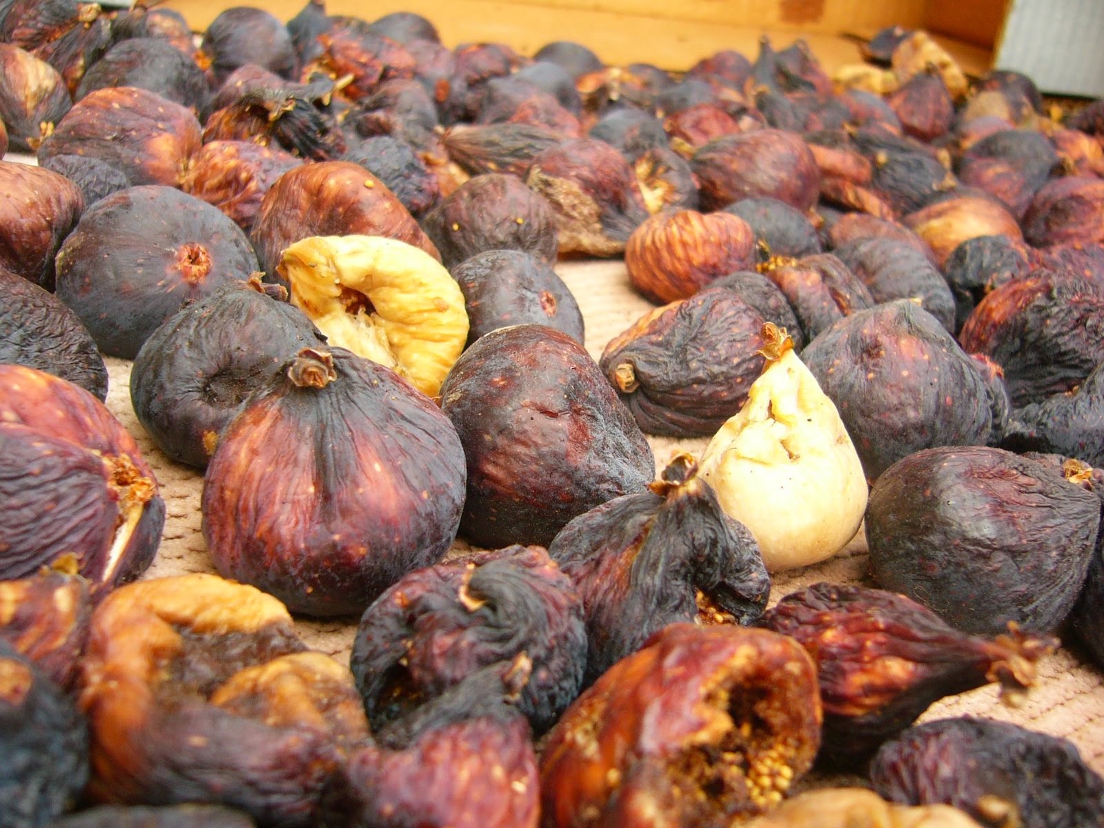 soulspeak: whatever you ask in prayer