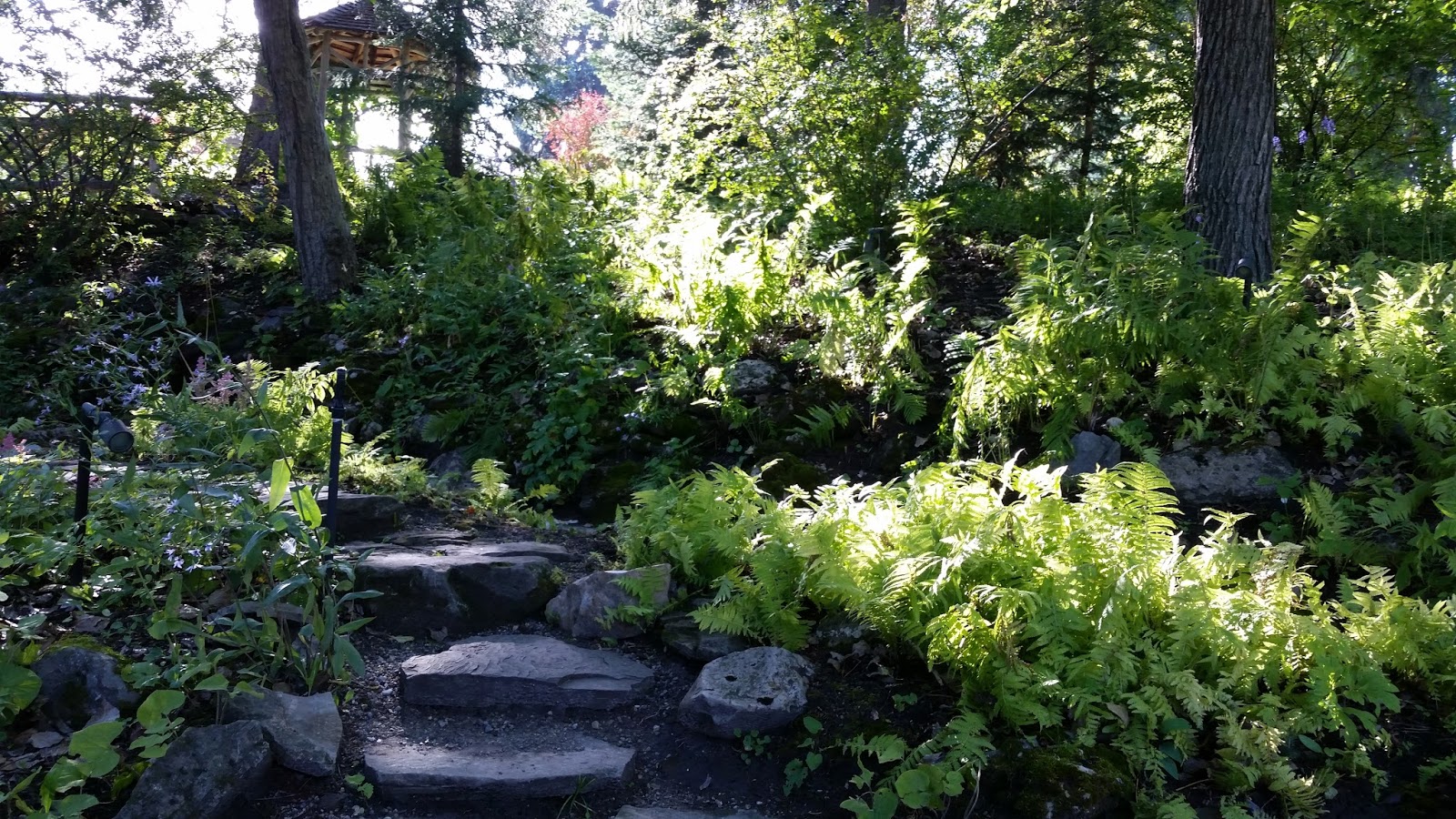 Renaissance Men: Calgary Parks; Reader Rock Garden