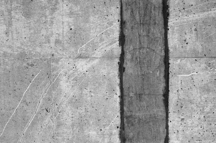 travis markel [photographer]